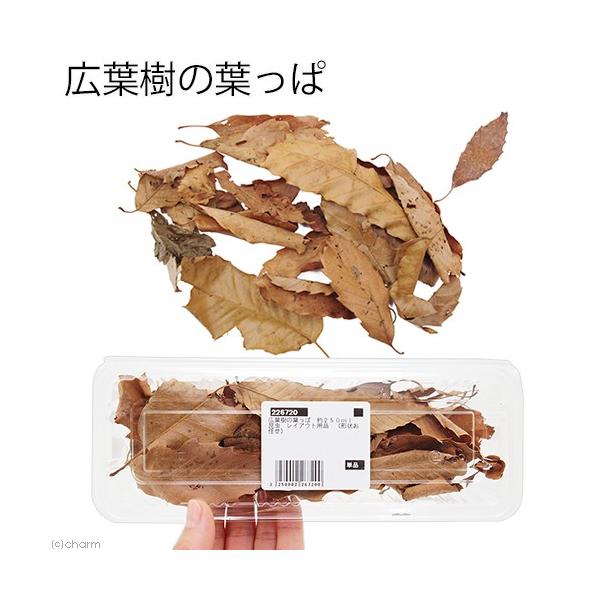 メーカー：(株)リーフ Leaf Corp 熱帯魚・エビ他　_aqua　_hachu　_kame　_insect　▲昆虫用品　マット　発酵マット　カブト・クワガタ・用品　昆虫レイアウト　広葉樹　落ち葉　hwlist　YKR　木の葉　かくれが...