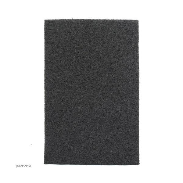 メーカー：アクアテイラーズ paludarium　パルダリウム　テラリウム　line2462terarium　ＥＰＩＷＥＢ　Ｐａｎｅｌｓ　２９０×４４０×２ｃｍ　20190702　ＧＢＮＭ　ガーデニング用品　園芸用品　ガーデニング　園芸　観...