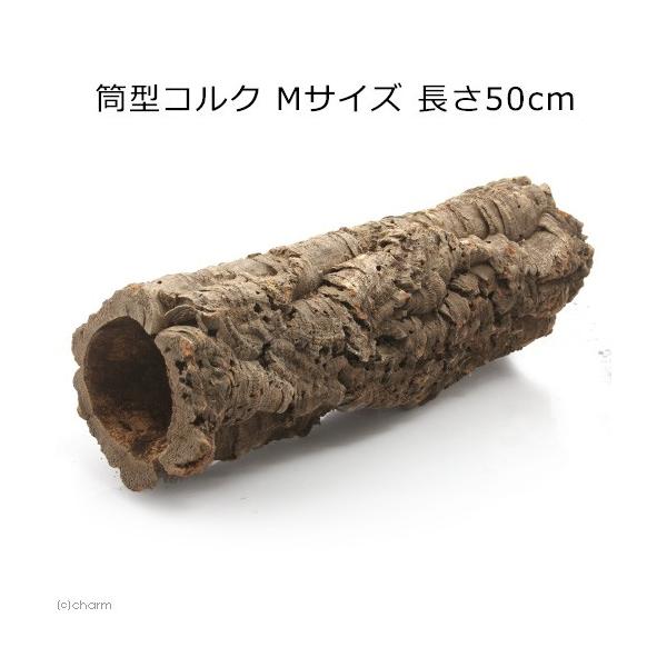鉢　植木鉢　ガーデニング用品　_gardening　sfset　_hachu　ガーデニング　園芸用品　ディスプレイ用品　ディスプレイ小物　ディスプレイ　MS34　爬虫類　レイアウト　レイアウト用品　ビバリウム　１２コンテナ　corkitem...