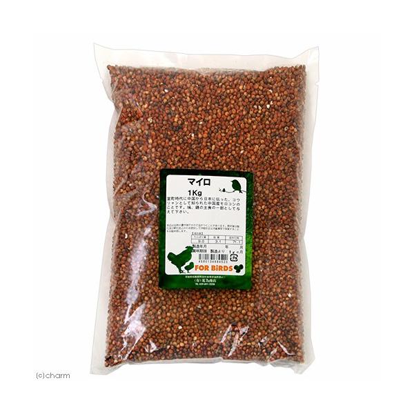 メーカー：荒為商店 _animal　マイロ　エサ　餌　１ｋｇ　4580134684520　ｋｓｚｋ　20190723　小動物　鳥　荒為商店　鳩　鶏　ニワトリ　ハト　主食　穀物　もろこし　コウリャン　opa2_stop　y19m07　arat...