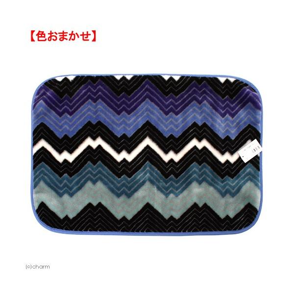 _dog　muryotassei_800_899　_neko　Ｄブレス　ペット用　ミックス毛布　レギュラー　７０×５０　色柄おまかせ　4589657577654　20191024　ＧＢＮＭ　犬用品　ベッド・ハウス・マット　マット・毛布・ブラ...