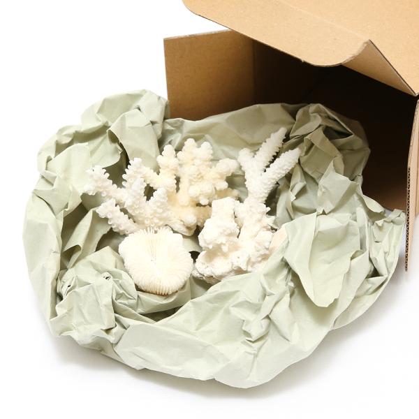 アクアリウム用品　interior　かざりサンゴ　装飾　レイアウト　インテリア　オブジェ　海水　水槽用アクセサリ　hwlist　20200131　YKR　opa2_delete　hw1fszlist　y20m01　leaf2505sns　h...