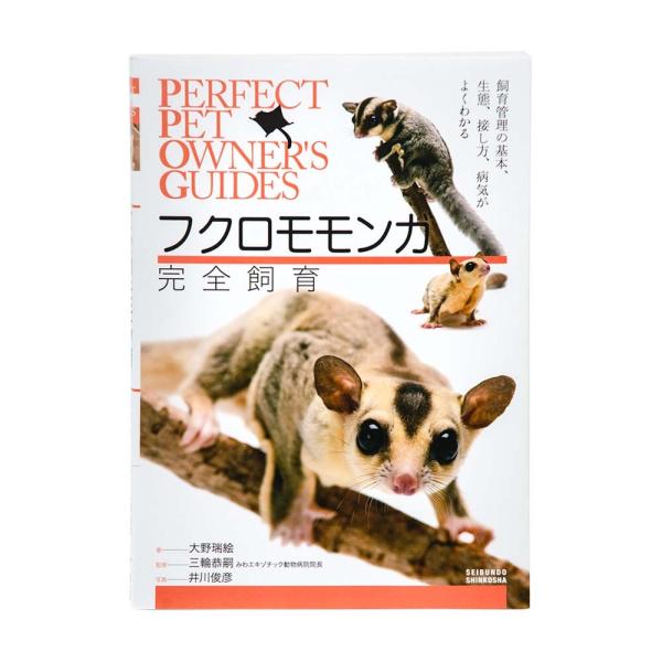 メーカー：誠文堂新光社 フクロモモンガ　完全飼育　9784416519424　20210929　GBNM　y21m09　小動物　モモンガ　リス　フクモモ　シュガーグライダー　書籍　本　飼育本　関連書籍　誠文堂新光社　誠文堂　大野瑞絵　三輪恭...