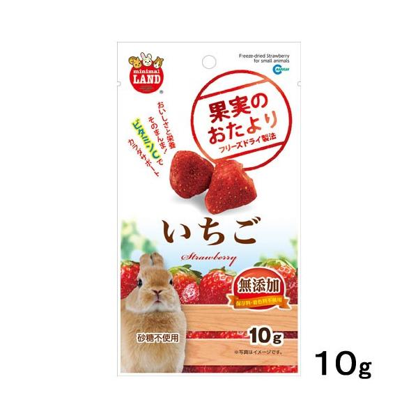 メーカー：マルカン _animal　マルカン　果実のおたより　いちご　10g　4906456560326　20160918　sakt　リスハム系　小動物　鳥　うさぎ　ハムスター　モルモット　チンチラ　リス　おやつ　ミニマルランド　minim...