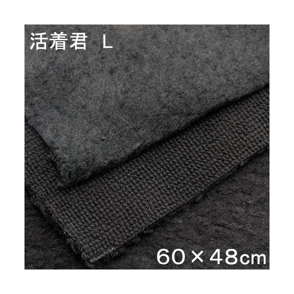 メーカー：ピクタ paludarium　パルダリウム　テラリウム　line2462terarium　活着君　Ｌ　６０×４８ｃｍ　4571232871912　20190521　ＧＢＮＭ　アクア用品　両生類　爬虫類　レイアウト　ピクタ　有限会社...