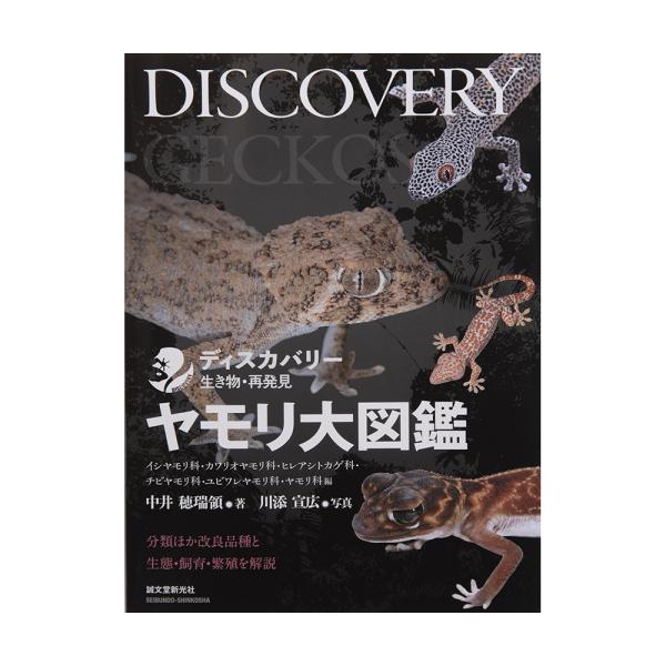 メーカー：誠文堂新光社 ディスカバリー生き物・再発見　ヤモリ大図鑑　9784416620489　20201119　ｋｓｚｋ　爬虫類　両生類　書籍　図鑑　ヤモリ　イシヤモリ　カワリオヤマヤモリ　ヒレアシトカゲ　チビヤモリ　ユビワレヤモリ　飼育...