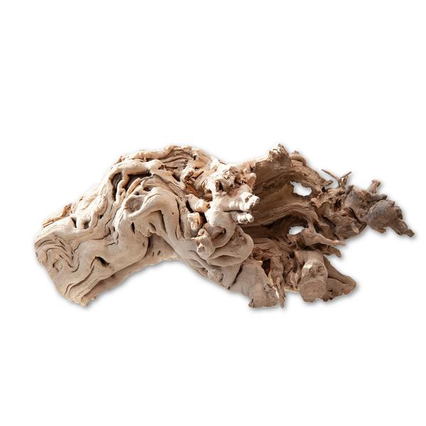 _hachu　_kame　naisyoku_syukei　_animal　小動物　１２コンテナ　Leaf　Corp　hwlist　tennenwood07　天然素材　tt_toy　20201222　endolist　スパイラルパーチ　_bi...