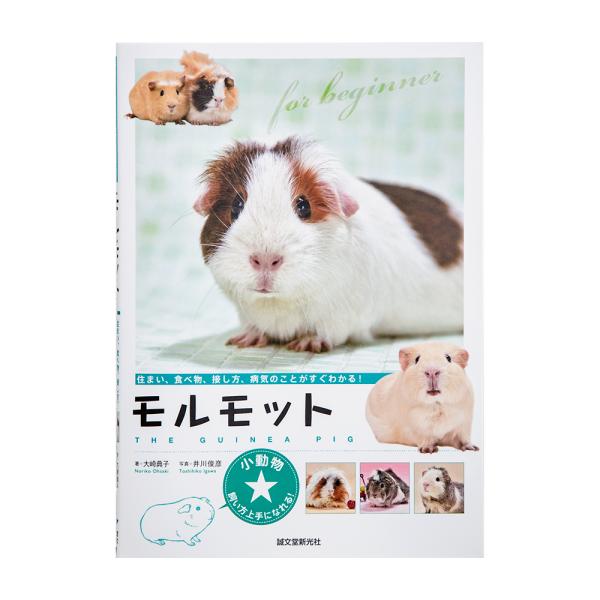メーカー：誠文堂新光社 モルモット　住まい　食べ物　接し方　病気のことがすぐわかる!　9784416616918　20210309　GBNM　y21m03　小動物　誠文堂　新光社　本　書籍　誠文堂新光社　飼育本　関連書籍　大崎典子　井川俊彦...