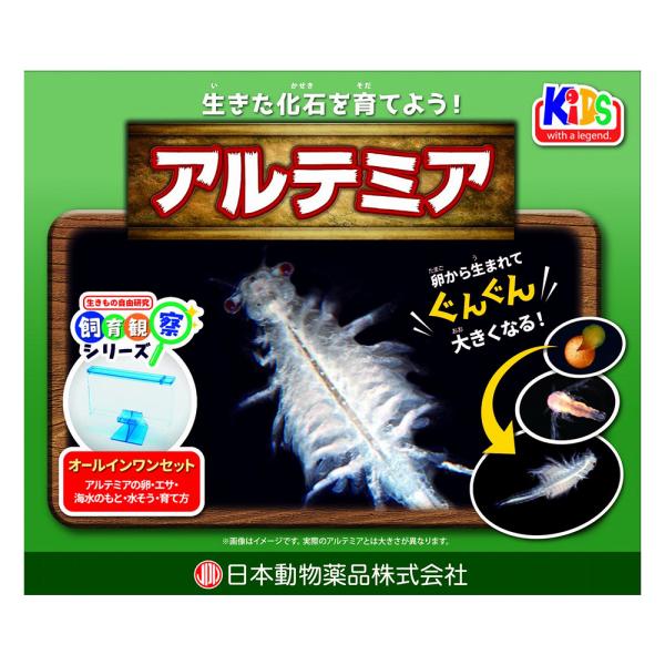 メーカー：日本動物薬品 日本動物薬品　ニチドウ　飼育観察セット　アルテミア　4975677045042　20210324　y21m03　nszk　飼育セット　観察セット　飼育　観察　kids　キッズ　こども　子ども　育てる　卵　生きもの　い...