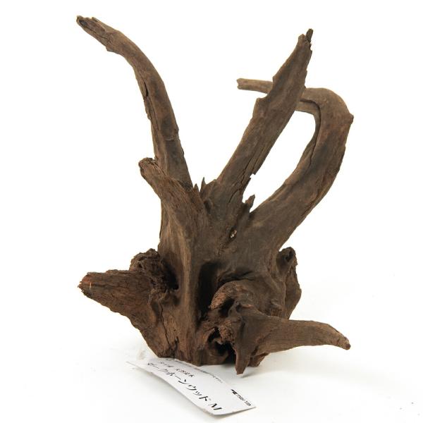 メーカー：カミハタ カミハタ　タイ産天然流木　ダークホーンウッド　Ｍ　形状お任せ　未アク抜き　約２３×１４×２２ｃｍ　4971664075023　20210521　ｙ21ｍ05　mikari　水草　レイアウト　流木　隠れ家　観賞魚　テラリウ...