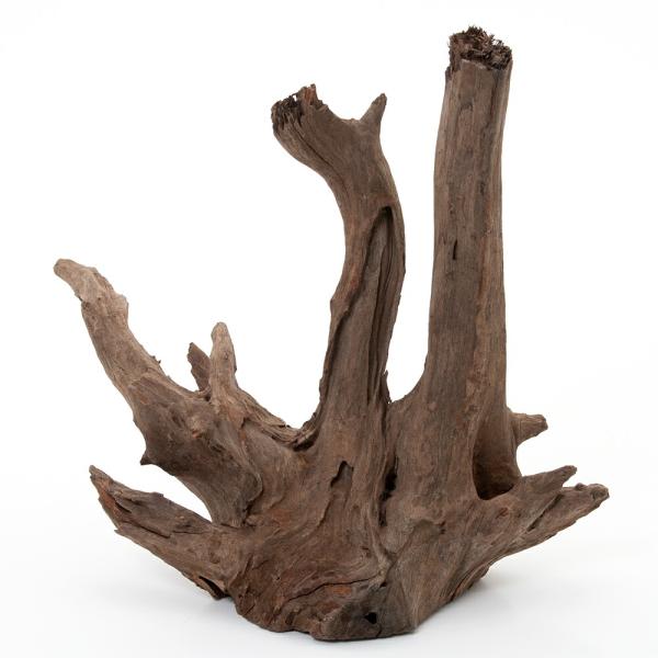 メーカー：カミハタ カミハタ　タイ産天然流木　ダークホーンウッド　ＸＬ　形状お任せ　未アク抜き　約３７×２５×３５ｃｍ　4971664075047　20210430　ｙ21ｍ04　mikari　水草　レイアウト　流木　隠れ家　観賞魚　テラリ...