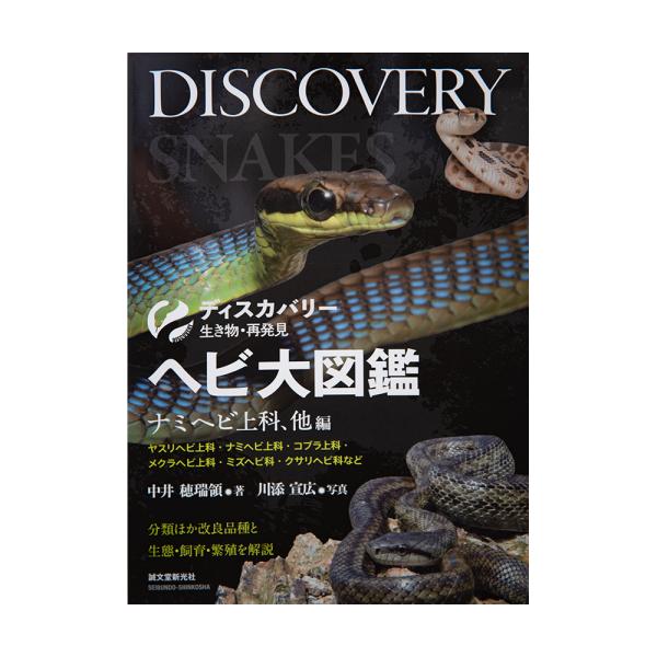メーカー：誠文堂新光社 ディスカバリー生き物　再発見　ヘビ大図鑑　ナビヘビ上科　他編　9784416521625　20210624　y21m06　mikari　両生類　爬虫類　書籍　入門書　図鑑　専門書　ヘビ　蛇　ナビヘビ　飼育　繁殖　入門...