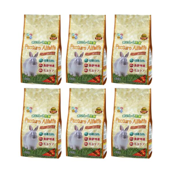 メーカー：ハイペット mlmfkline　hipetinc_alfa　_animal　ハイペット　パスチャーアルファルファ　４００ｇ　4977007070205　20190913　ＧＢＮＭ　小動物用品　小動物　鳥　うさぎ・モルモット　うさぎ...