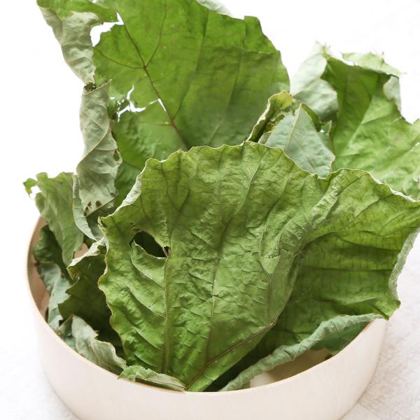 メーカー：(株)リーフ Leaf Corp line250910p510aqua　熱帯魚・エビ他　_aqua　_hachu　_kame　_insect　昆虫用品　マット　発酵マット　カブト・クワガタ・用品　昆虫レイアウト　落ち葉　usyml...