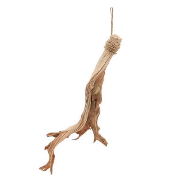 リーフコーポレーション　リーフコーポ　リーフ　ＬＥＡＦ　Corp　吊り下げ　_gardening　レイアウト素材　stonedeco　流木　ハンギング　forset-ryuishi　形状お任せ　インテリア　ゴーストウッド　１本　hwlist...