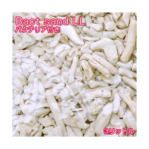 ◎　Ｂａｃｔ　Ｓａｎｄ　ばくとさんどシリーズ　サンゴ砂　ma_livesand　ばくとさんど　20100709　AH　海水　底砂　アクア用品　ろ材／ウールマット　バクテリア付きろ材　ma_bacmedia　ma_bactsand　珊瑚砂　ｓ...