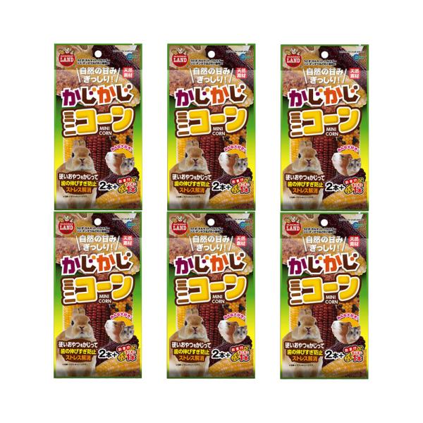 メーカー：マルカン mlmfkline　_animal　マルカン　かじかじ　ミニコーン　2本+おまけ1本　4906456560012　sakt　リスハム系　小動物　鳥　ハムスター　うさぎ　モルモット　リス　チンチラ　おやつ　ミニマルランド　...