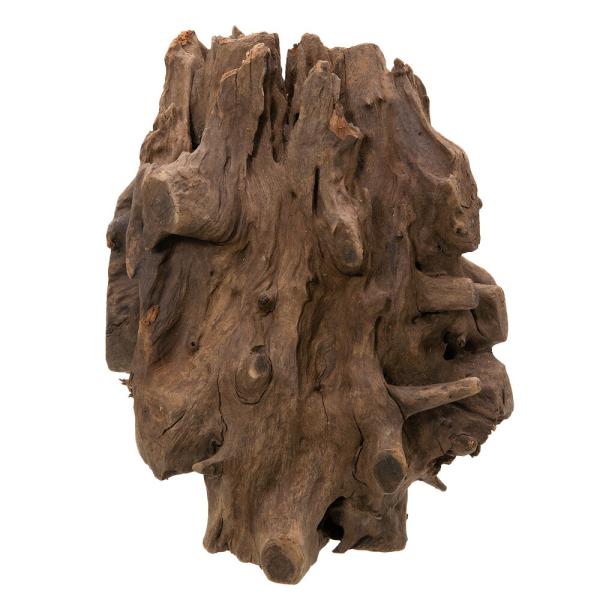 メーカー：カミハタ カミハタ　タイ産天然流木　ツリーボトムウッド　ＸＬ　4971664075146　20220321　ｙ22ｍ03　ytks　アクアリウム　アクアリウム用品　水草　レイアウト　流木　隠れ家　観賞魚　テラリウム　爬虫類　水槽　...