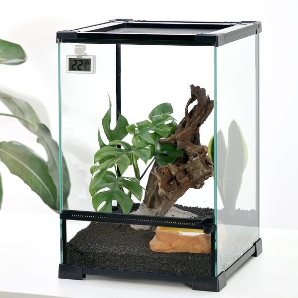 メーカー：用品+生体植物セット 樹上性カエルの基本飼育セット　レイアウト素材付き　rknd　樹上性ガエル　樹上性カエル　ツリーフロッグ　カエル　レイアウト　セット　レイアウトセット　飼育セット　イエアメガエル　テラスペース　植物付き　イエア...
