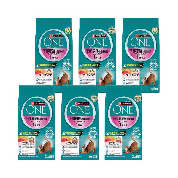 メーカー：ネスレ ピュリナワンキャット　下部尿路の健康維持　Ｆ.Ｌ.Ｕ.Ｔ.Ｈ.ケア　サーモン＆ツナ　２ｋｇ　６袋　成猫用　お一人様１点限り　20220412　y22m04　Y.K.　猫　ねこ　猫用　ねこ用　キャット　cat　猫フード　キャ...