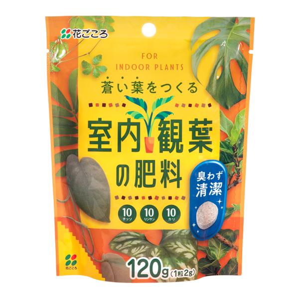 メーカー：花ごころ 花ごころ　観葉・多肉の肥料　１２０ｇ　置くだけ　２か月持続　4977445253000　20220511　ｙ22ｍ05　Y.K.　_gardening　ガーデニング　園芸用品　観葉　園芸　花　植物　観葉植物　多肉　多肉植...