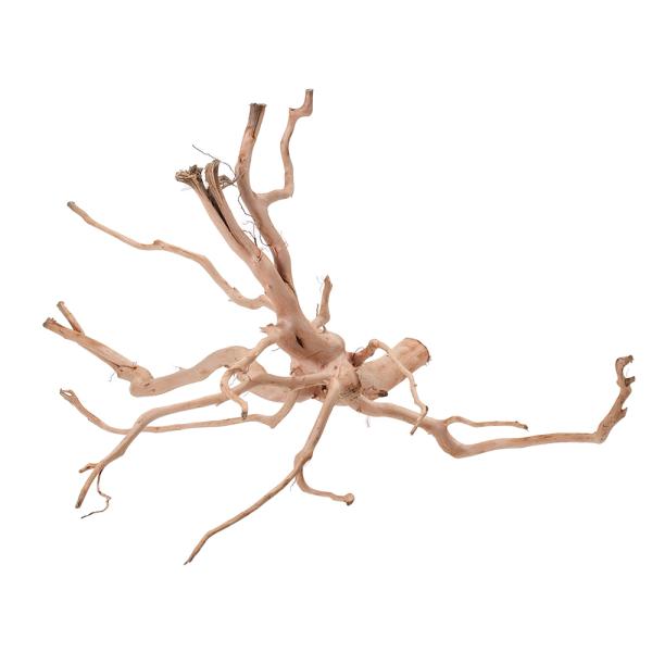 メーカー：カミハタ paludarium　パルダリウム　テラリウム　line2462terarium　カミハタ　タイ産天然流木　ブランチウッド　Ｍ　約３８×２９×３０ｃｍ　アクアリウム　4971664075320　20220803　ｙ22ｍ...