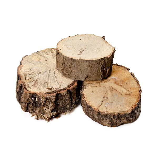 メーカー：(株)リーフ Leaf Corp 転倒防止材　産卵木端材　輪切り　３個入り　止まり木　クワガタ　カブトムシ　昆虫用品　カブト　クワガタムシ　甲虫　ヘラクレス　コーカサス　足場木　大型　オオクワガタ　パプキン　パプアキンイロクワガタ...