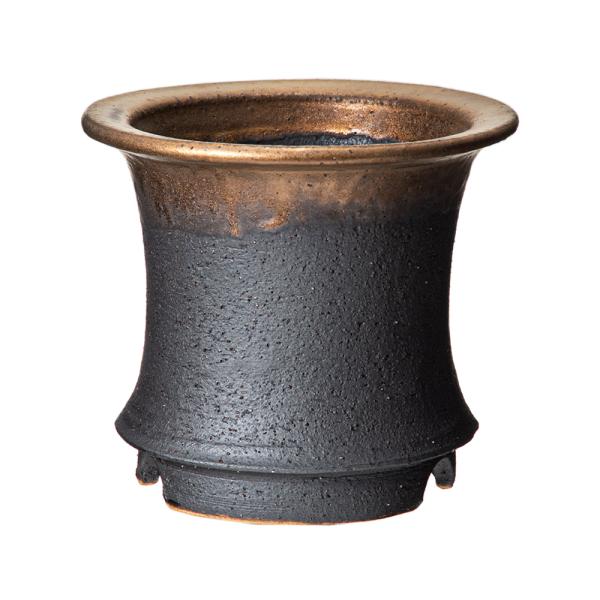 メーカー：かみ山陶器 盆栽鉢　植木鉢　鉢　ガーデニング用品　信楽焼　金彩オモト　５号　多肉植物　山野草　9916790079656　20221229　y22m12　mura　ガーデニング　園芸　園芸用品　和風　観葉植物　植物　サボテン　小鉢...