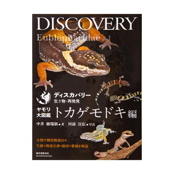メーカー：誠文堂新光社 ディスカバリー生き物・再発見　ヤモリ大図鑑　トカゲモドキ編　9784416522882　20221024　y22m10　Y.K.　爬虫類　両生類　書籍　図鑑　飼育本　ゲッコー　トカゲモドキ