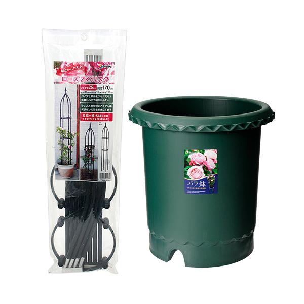 メーカー：用品セット ガーデニング　リッチェル　バラ　4973655716236　バラ用　イングリッシュローズ　フレンチローズ　通気性　排水性　上げ底　バラ鉢　植木鉢　4968438020396　オベリスク　園芸用品　園芸　支柱　12号　柵...
