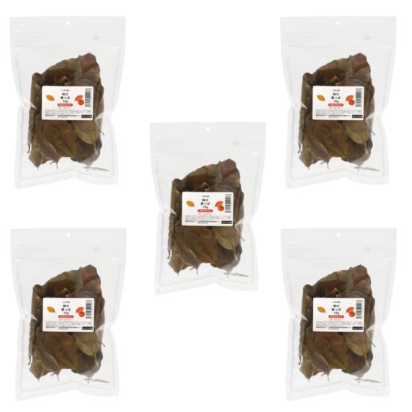 メーカー：(株)リーフ Leaf Corp usymsetlist　アクアリウム　レイアウト　用品　メダカ　越冬　隠れ家　屋外　冬　準備　柿の葉っぱ　柿の葉　乾燥　１０ｇ　落ち着く　国産　4589498999066　20221221　MI　...