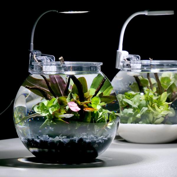 interioraquamedaka　kotobuki　コトブキ工芸　ボウルセット　Ｓ　ブラック　メダカ　飼育セット　メダカ鉢　テラリウム　アクアテラリウム　ライト　黒　手軽　簡単　ボウル　4972814012837　プラスチック　プラスチ...