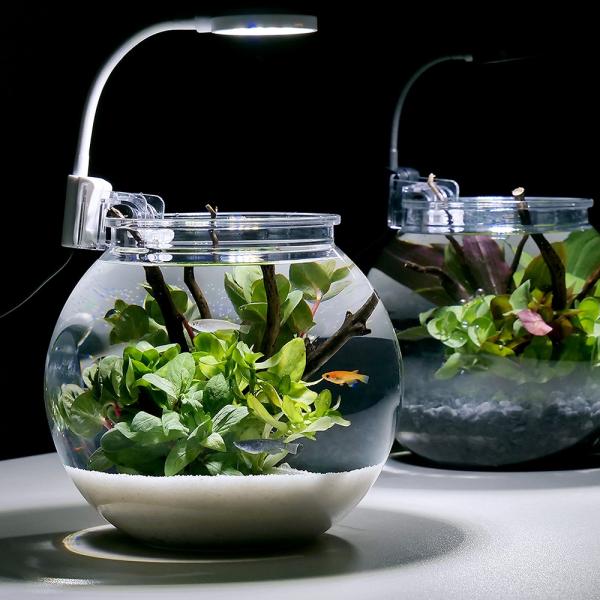 interioraquamedaka　kotobuki　コトブキ工芸　ボウルセット　Ｓ　ホワイト　メダカ　飼育セット　白　メダカ鉢　アクアリウム　ライト　テラリウム　アクアテラリウム　淡水　4972814012844　手軽　簡単　プラスチッ...