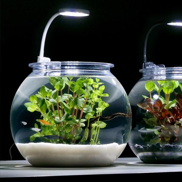 interioraquamedaka　コトブキ工芸　kotobuki　暮らしにメダカ　メダカ鉢　Ｍ　4972814436756　アクアリウム　アクアリウム用品　メダカ用　メダカ　鉢　観賞魚用　屋内用　水草　プラスチック製　コトブキ　ミニＬＥ...