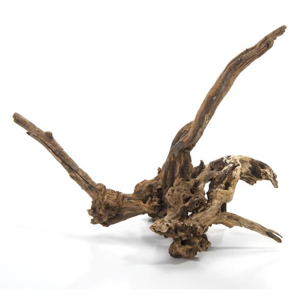 メーカー：カミハタ line2462terarium　カミハタ　形状お任せ流木　オールウッド　Ｌ　アクアリウム　テラリウム　パルダリウム　レイアウト　Ｌサイズ　形状お任せ　流木　木　ウッド　レイアウト素材　素材　自然素材　自然　天然　水槽　...