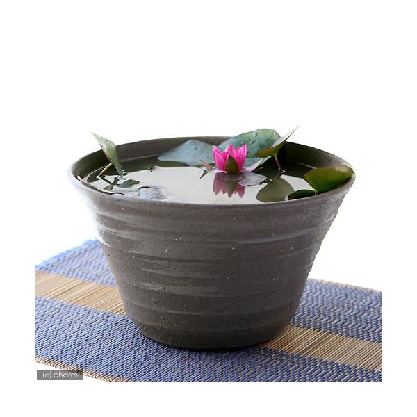 mashikohimeset　スイレン　睡蓮　栽培　育て方　睡蓮　ガーデニング　水辺植物　スイレンと鉢のセット　レッド　set_nomedaka　益子ｄｅ姫スイレンセット　20100503　TT　startset_himesuiren　彩_...