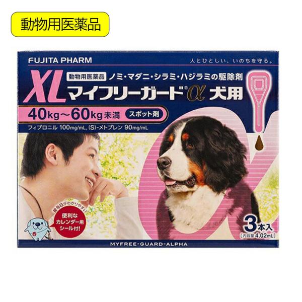 メーカー：ささえあ製薬? 動物用医薬品　マイフリーガードα　犬用　XL　40〜60kg未満　3本入　4987765161671　20230330　y23m03　Y.K.　犬　いぬ　いぬ用　ドッグ　dog　ノミダニ　ノミ　ダニ　マダニ　ハジラ...