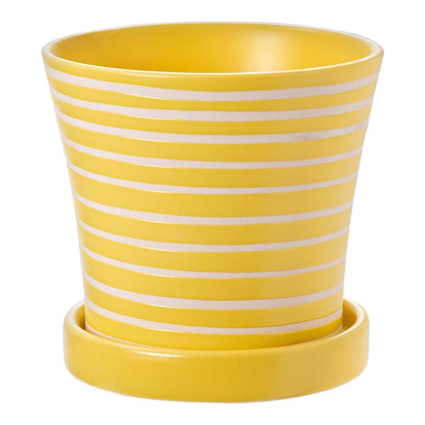 鉢　植木鉢　ガーデニング用品　パステルホルベ　Ｌ　イエロー　4580211816615　20230522　ｙ23ｍ05　mura　園芸用品　ガーデニング　園芸　グリーン　ポット　プランター　パステルカラー　縞模様　かわいい　おしゃれ　インテ...
