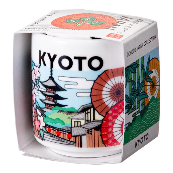 メーカー：聖新陶芸 4528757040842　聖新陶芸　お芽でたおちょこ　京都　三つ葉　ガーデニング　ガーデニング用品　園芸用品　園芸　植物　花　鉢　植木鉢　葉　華　管理　用品　栄養　カップ　栽培　栽培キット　お手軽　簡単　小さい　おちょ...