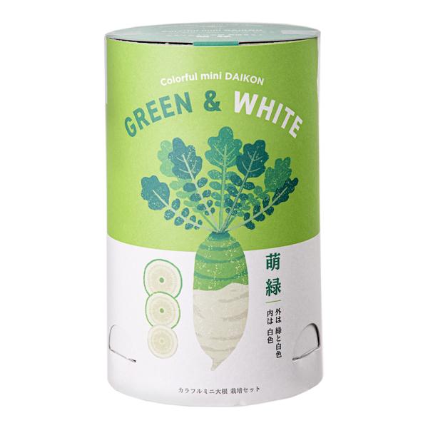 メーカー：聖新陶芸 4528757040743　聖新陶芸　カラフルミニ大根　萌緑　ガーデニング　ガーデニング用品　園芸用品　園芸　植物　花　鉢　植木鉢　葉　華　管理　植木鉢カバー　植木鉢ポット　ポット　栽培キット　栽培　カラフルミニ大根　だ...