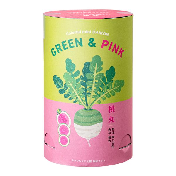 メーカー：聖新陶芸 4528757040767　聖新陶芸　カラフルミニ大根　桃丸　ガーデニング　ガーデニング用品　園芸用品　園芸　植物　花　鉢　植木鉢　葉　華　管理　植木鉢カバー　植木鉢ポット　ポット　栽培キット　栽培　カラフルミニ大根　だ...