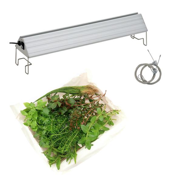 メーカー：用品+生体植物セット アクロ　ＴＲＩＡＮＧＬＥ　ＬＥＤ　ＶＩＶＩＤ　６００　水草育成　照明　ライト　熱帯魚　アクアリウム　4589498997055　アクアリウム用品　60cm水槽　水草　水草水槽　アクアテラリウム　テラリウム　ビ...