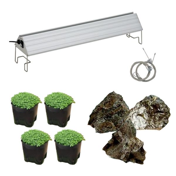 メーカー：用品+生体植物セット アクロ　ＴＲＩＡＮＧＬＥ　ＬＥＤ　ＶＩＶＩＤ　６００　水草育成　照明　ライト　熱帯魚　アクアリウム　4589498997055　アクアリウム用品　60cm水槽　水草　水草水槽　アクアテラリウム　テラリウム　ビ...