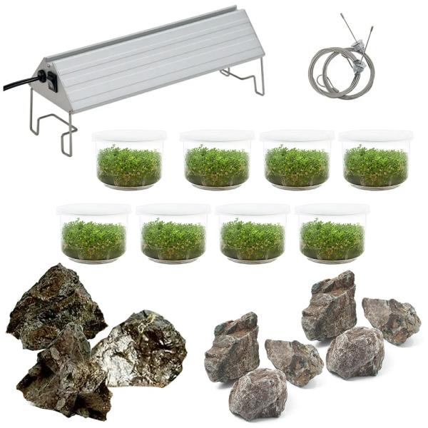 メーカー：用品+生体植物セット アクロ　ＴＲＩＡＮＧＬＥ　ＬＥＤ　ＶＩＶＩＤ　３００　水草育成　照明　ライト　熱帯魚　アクアリウム　4589498997031　アクアリウム用品　30cm水槽　水草　水草水槽　アクアテラリウム　テラリウム　ビ...