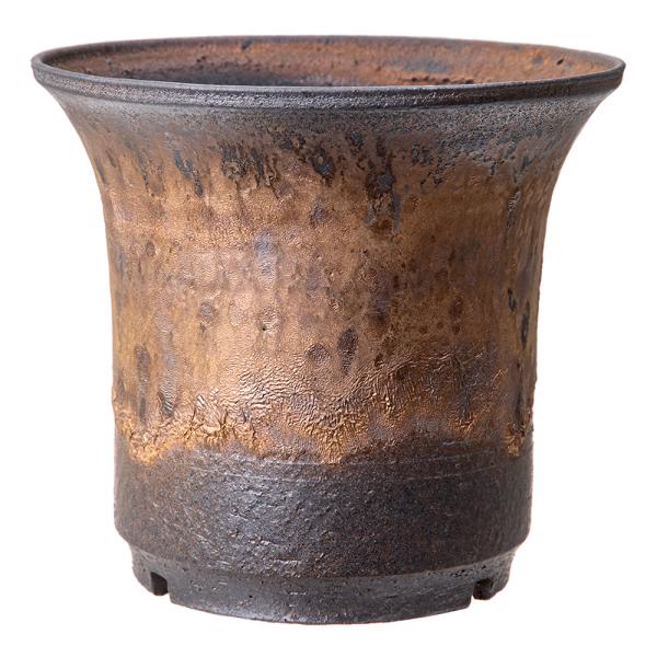 メーカー：かみ山陶器 盆栽鉢　植木鉢　鉢　ガーデニング用品　信楽焼　金彩大深ソリ　６号　多肉植物　山野草　2250002948635　20230908　ｙ23ｍ09　mura　園芸用品　gardening　ガーデン　ガーデニング　園芸　グリ...