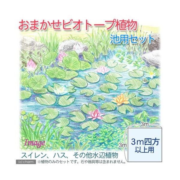 sfset　_gardening　ガーデニング　園芸　水辺植物　ビオトープ　池　スイレン　睡蓮　ハス　蓮　池用植物セット　20120620　ＴＮ　aL7qi29z_bitp　saki27to09　rkmr6_pd10_bioset　rkfe...