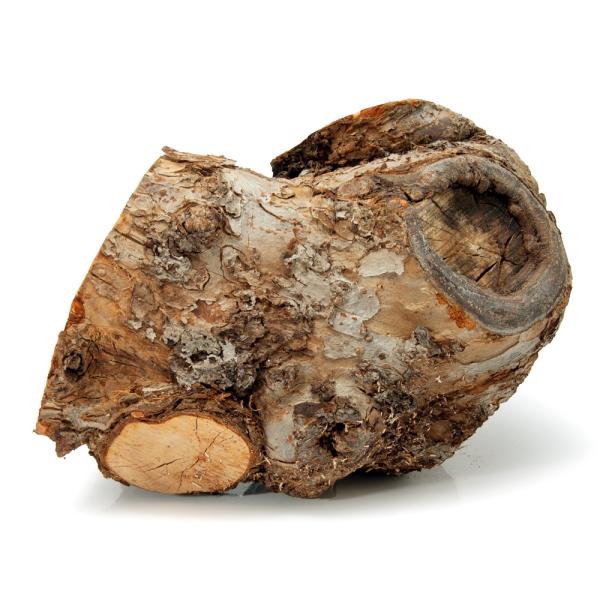 メーカー：(株)リーフ Leaf Corp usymlist　レイアウト　小動物　鳥　うさぎ　チンチラ　モルモット　デグー　リス　は虫類　用品　animal　かじり木　おもちゃ　dry_series_toy　切り株　木　歯　歯のケア　げっ歯...