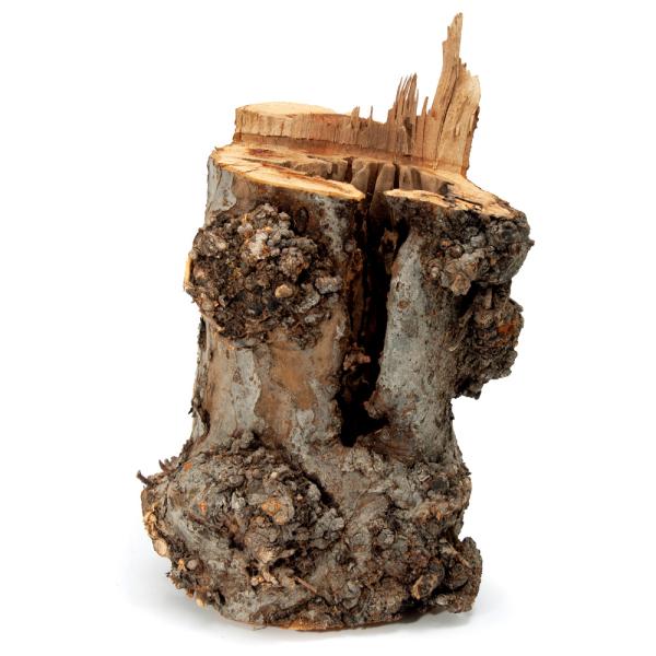 メーカー：(株)リーフ Leaf Corp usymlist　レイアウト　小動物　鳥　うさぎ　チンチラ　モルモット　デグー　リス　は虫類　用品　animal　かじり木　おもちゃ　dry_series_toy　切り株　木　歯　歯のケア　げっ歯...