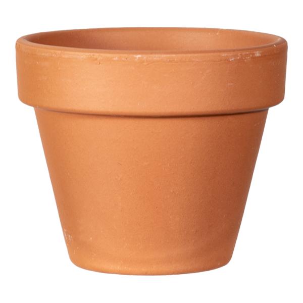 メーカー：陶里 ドイツ製テラコッタポット　内径６．２５×高さ５．８９ｃｍ　穴あり　植木鉢　鉢　鉢植え　ぷらんたー　プランター　鉢カバー　陶器　園芸用品　園芸　ガーデニング　ガーデニング用品　多肉植物　サボテン　観葉植物　植物　山野草　ポット...