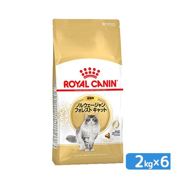 メーカー：ロイヤルカナン ロイヤルカナン　猫　ノルウェージャン　フォレスト　キャット　成猫用　生後１２ヵ月齢から１２歳まで　２ｋｇ×６　ジップ付キャットフード　ドライ　FBN　2?　ロイカナ　ROYAL　CANIN　成猫　アダルト　ねこ　ノ...